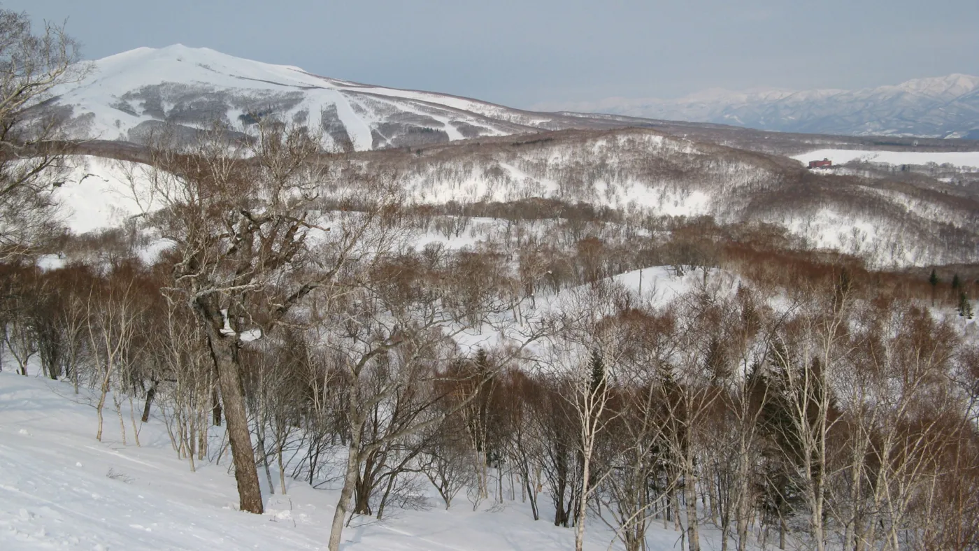 Niseko Hanazono Resort | Ecosign
